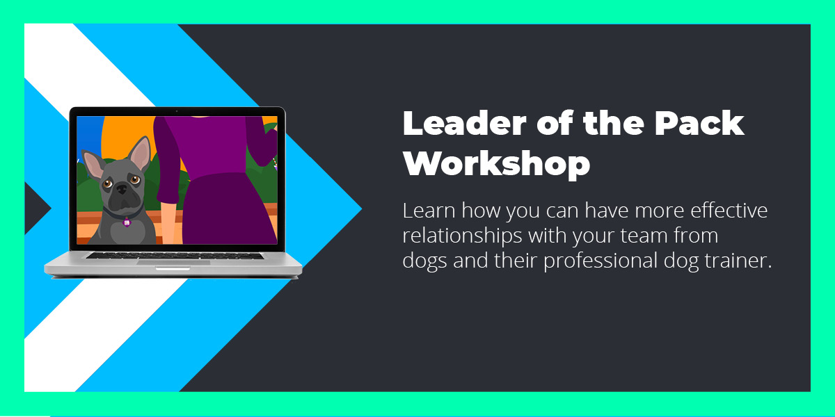 Leader of the Pack - Team Development & Leadership Development workshop ...