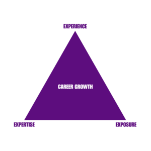 High Performers vs High Potentials: Developing The Two Sides of Talent ...