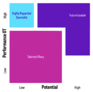 High Performers vs High Potentials: Developing The Two Sides of Talent ...