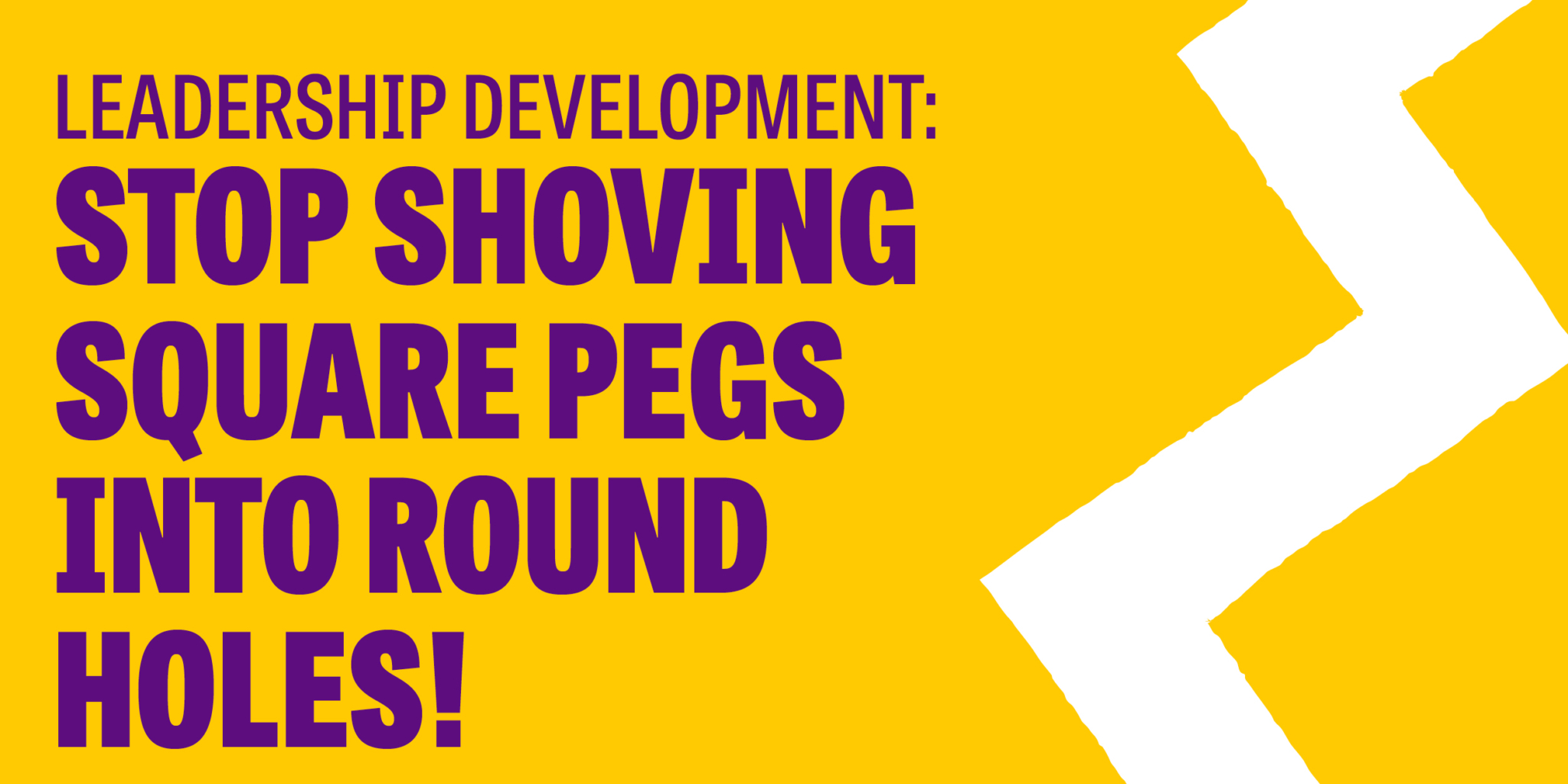 Leadership Development: Stop Shoving Square Pegs Into Round Holes ...
