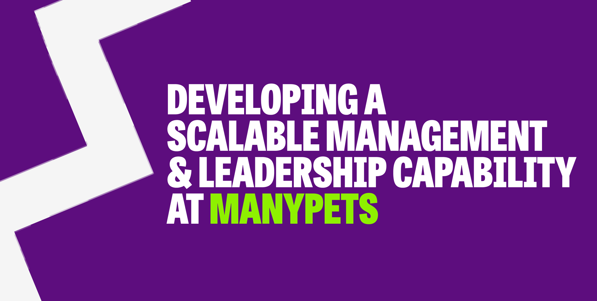 Developing a Scalable Management & Leadership Capability at ManyPets ...